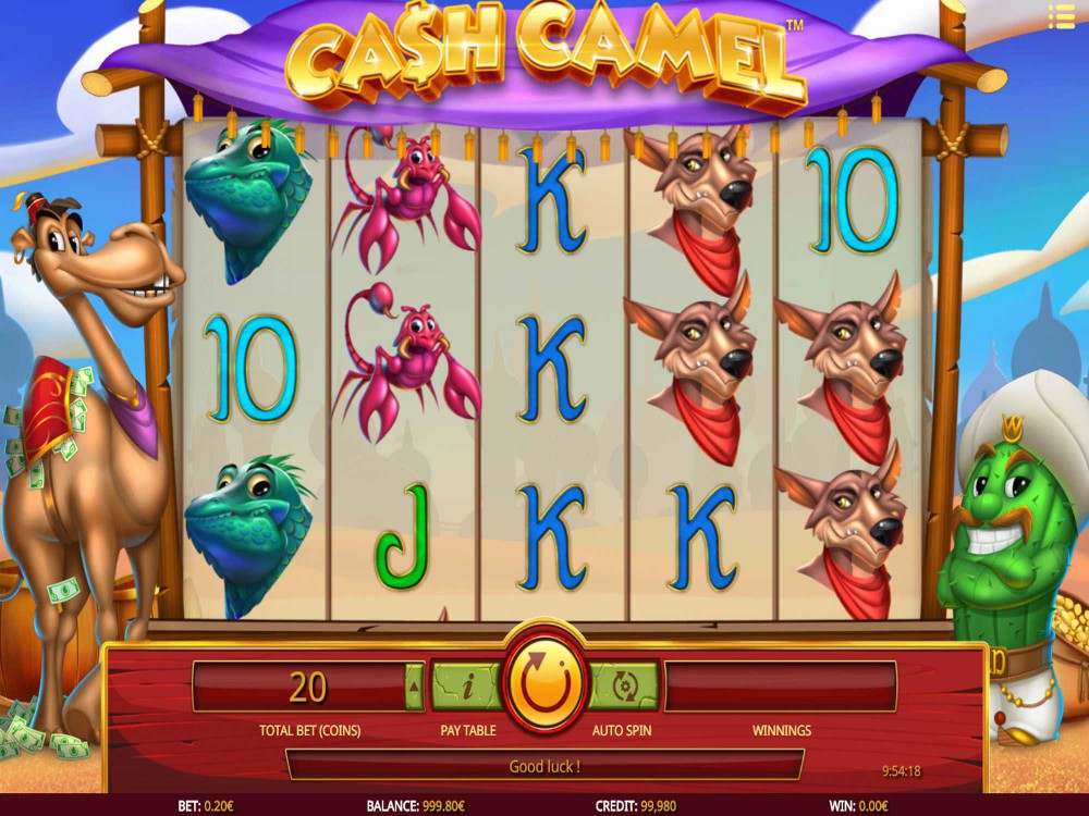 Cash Camel by iSoftbet - GamblersPick