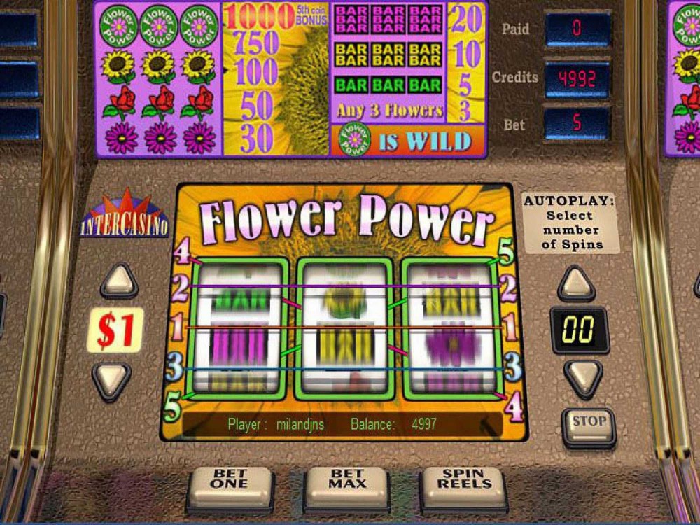 Flower Power by Amaya - GamblersPick