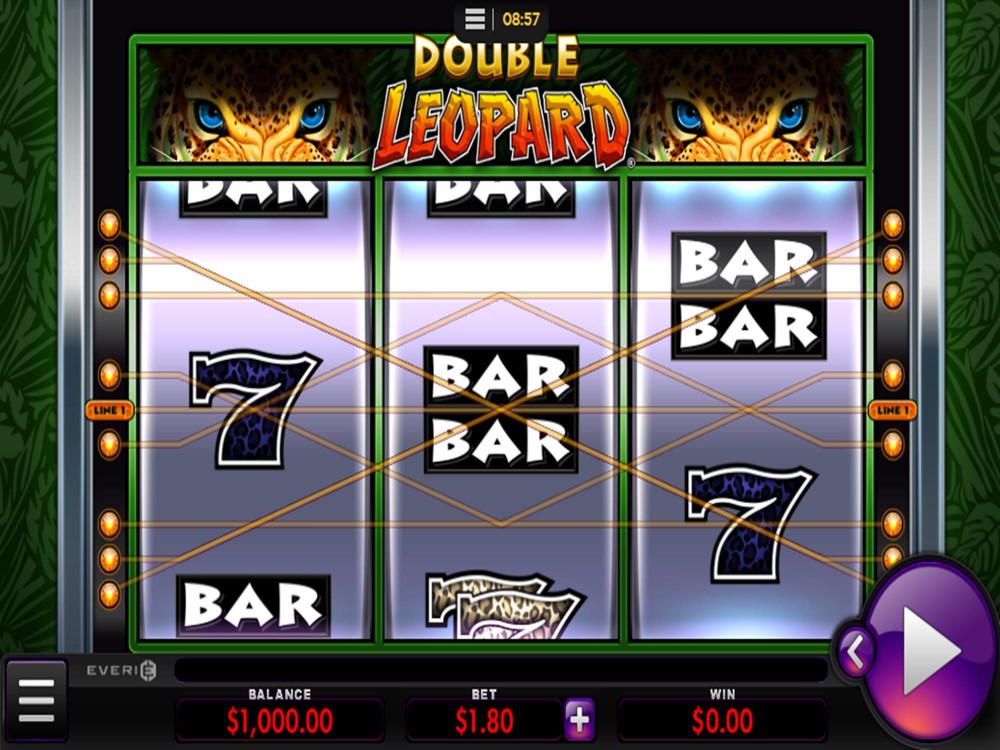 Double Leopard by Everi - GamblersPick