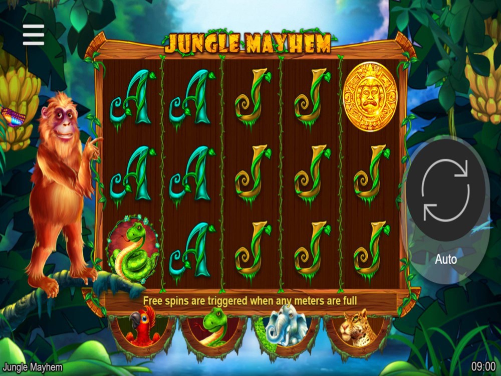 Jungle Mayhem by Bet365 Games - GamblersPick
