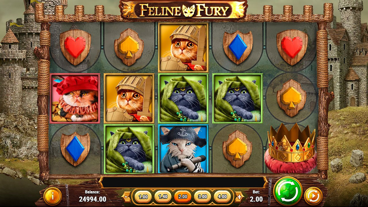 How Feline Resilience Conquered the Odds and Broke the Internet - Blog ...