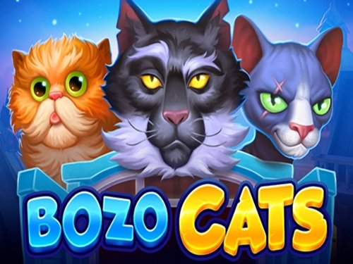 Bozo Cats by Playson - GamblersPick